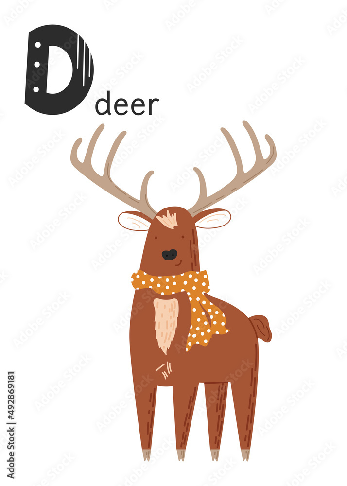 Animal alphabet. Hand-drawn cute deer. Cute zoo vector poster with ...