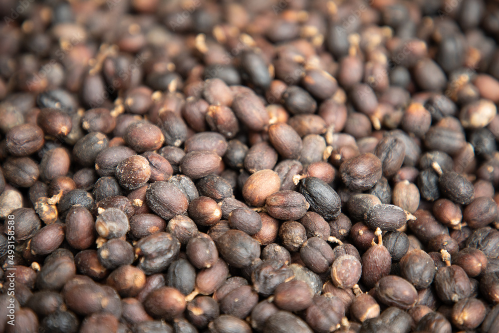 Coffee bean textures with closeup look of coffee beans that can be made ...