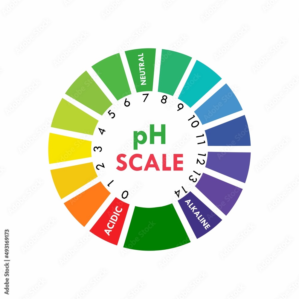 pH scale indicator chart diagram acidic alkaline measure. pH analysis vector chemical scale ...
