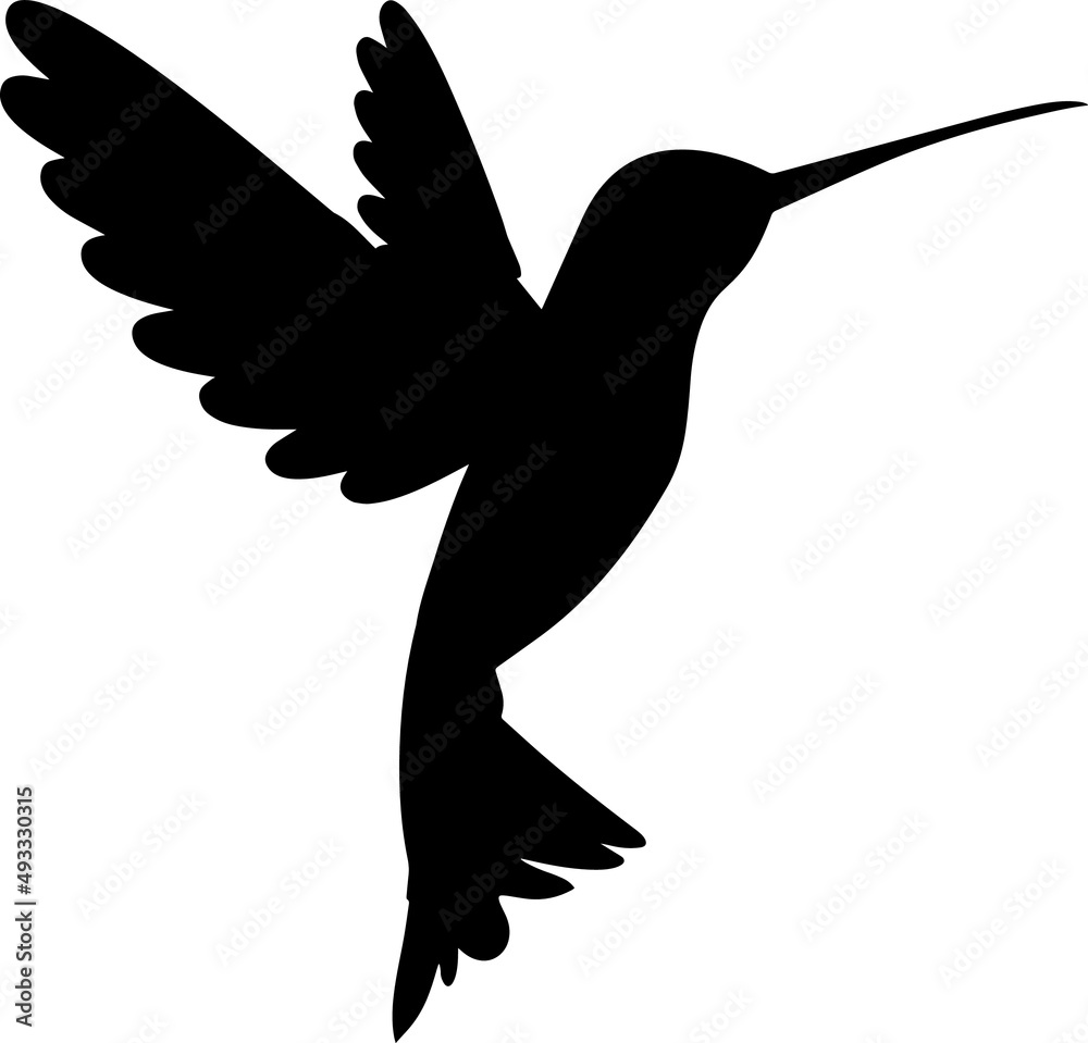 Vector de Stock Hummingbird Colibri Silhouettes Hummingbird Colibri SVG ...