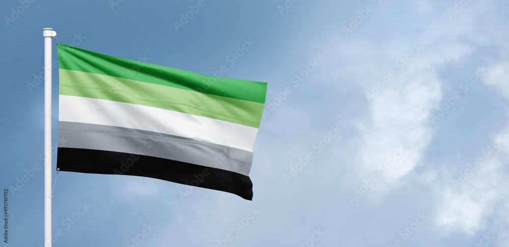 The aromantic pride flag consists of five horizontal stripes, which ...