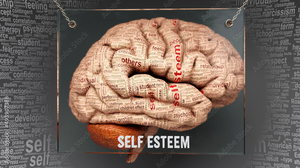 Self esteem anatomy - its causes and effects projected on a human brain ...
