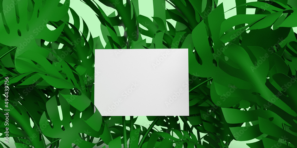 Green garden plant leaf flower plam natural tree grass forest abstract ...