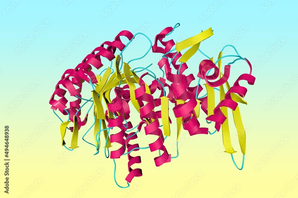 Crystal Structure of the Ternary Human PL Kinase-Ginkgotoxin-MgATP ...