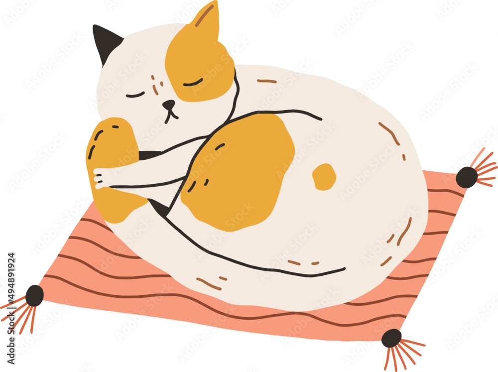 Cute Cat Sleeping Doodle Illustration Stock Vector | Adobe Stock