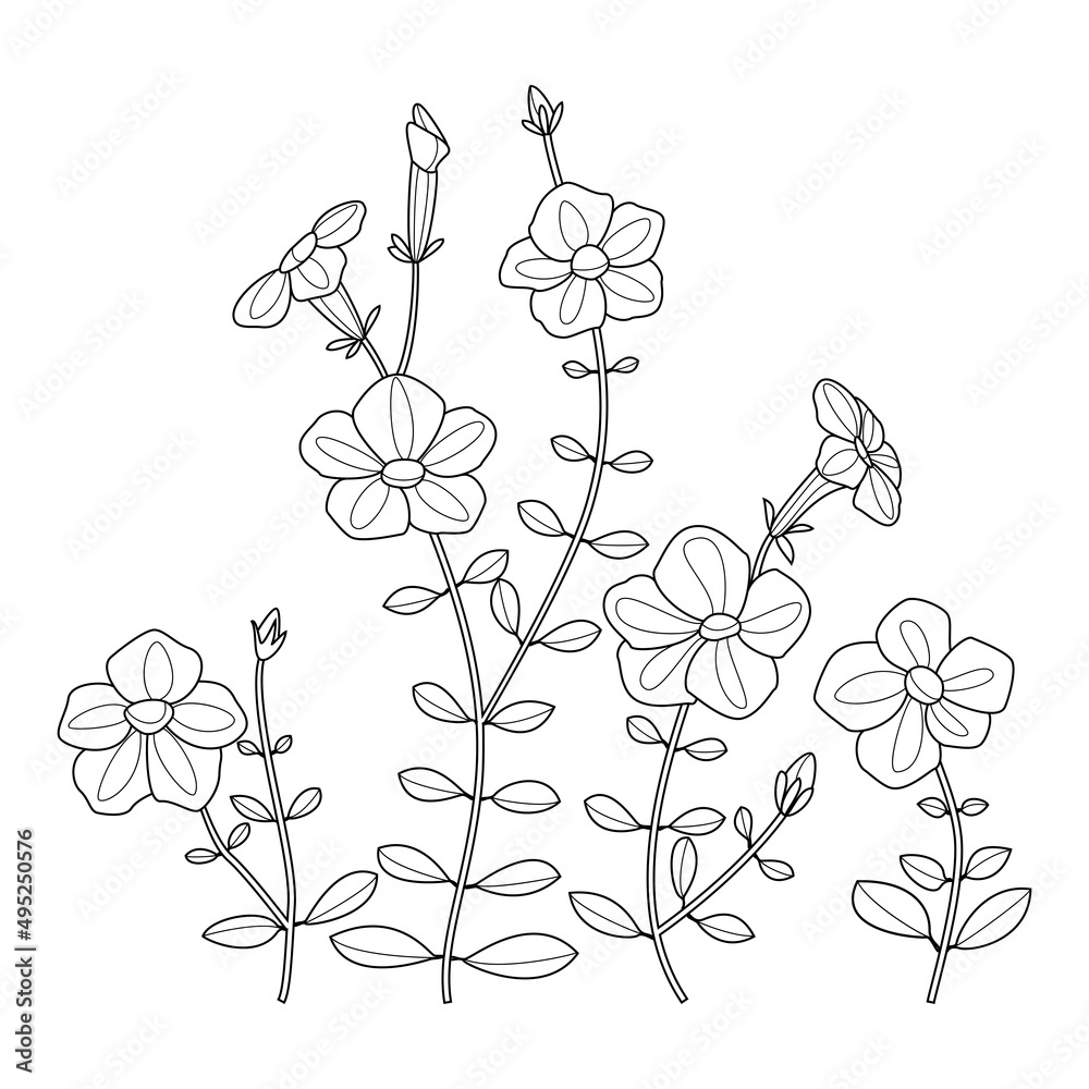 coloring book outline contour page vector petunia flower bouquet Stock ...