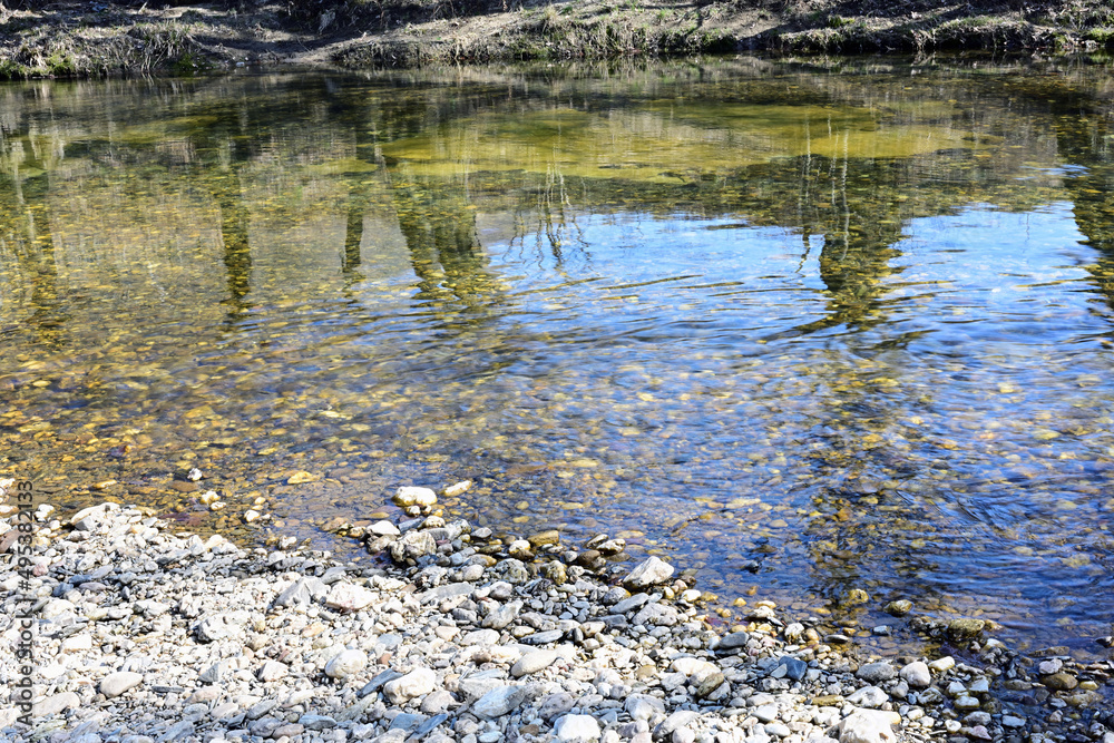 Fotografie Floodplain forest is a bottomland, deciduous or deciduous ...