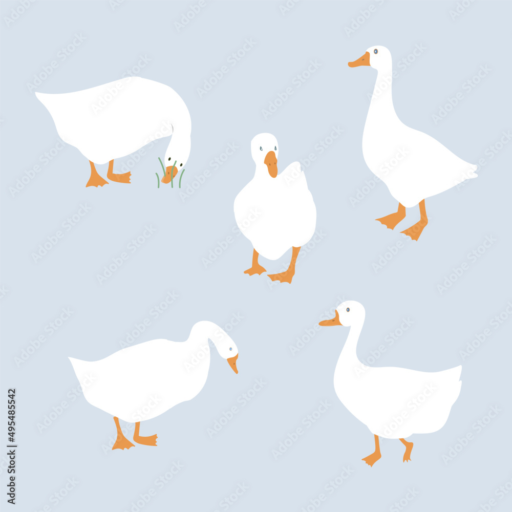 Set of cute white geese. Goose isolated flat vector. Cartoon ...