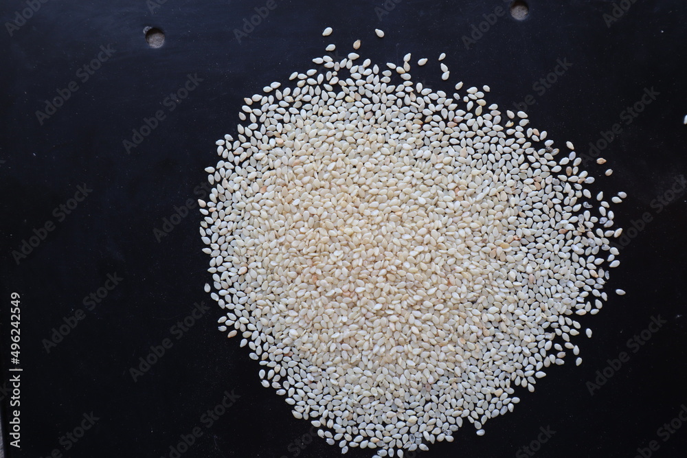 Background image of white sesame seeds laying on a table to inspect ...
