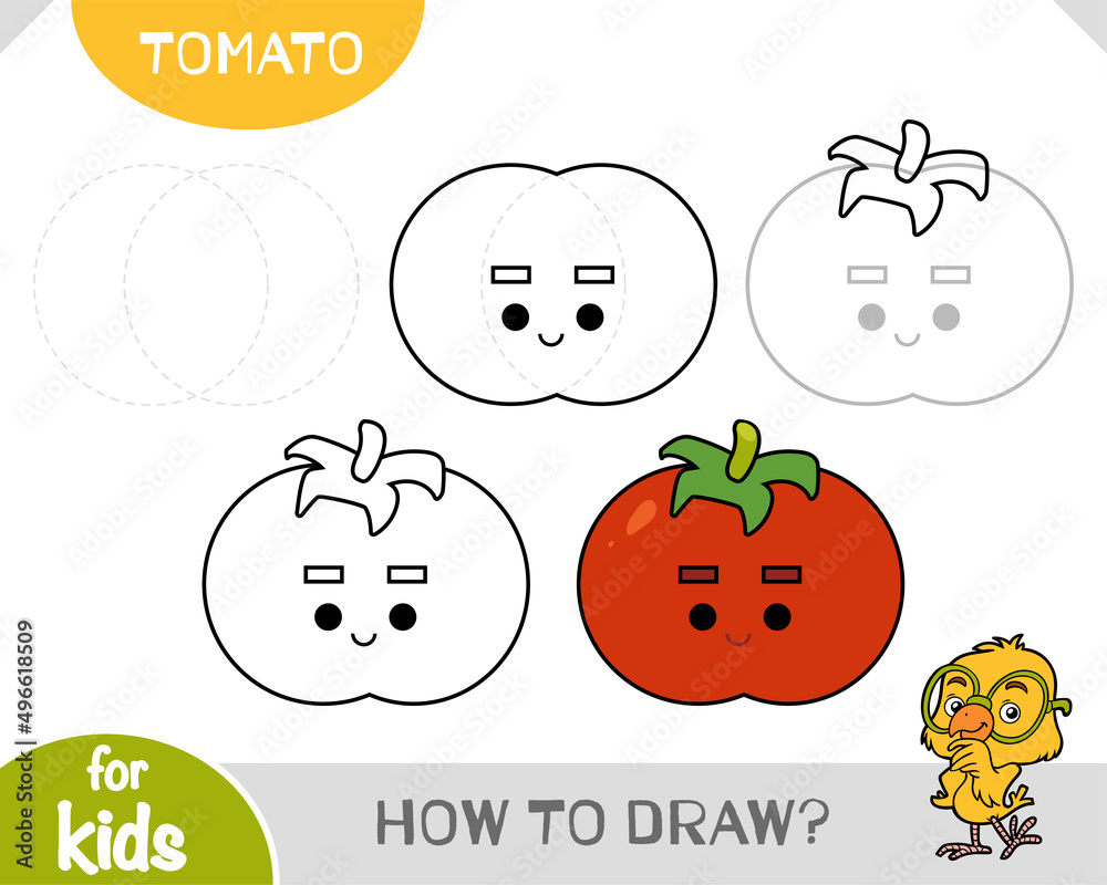 How to draw Tomato for children. Step by step drawing tutorial Stock ...