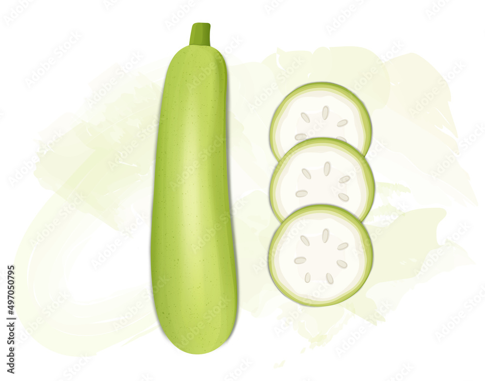 Bottle gourd vegetable vector illustration with Botter gourd round ...