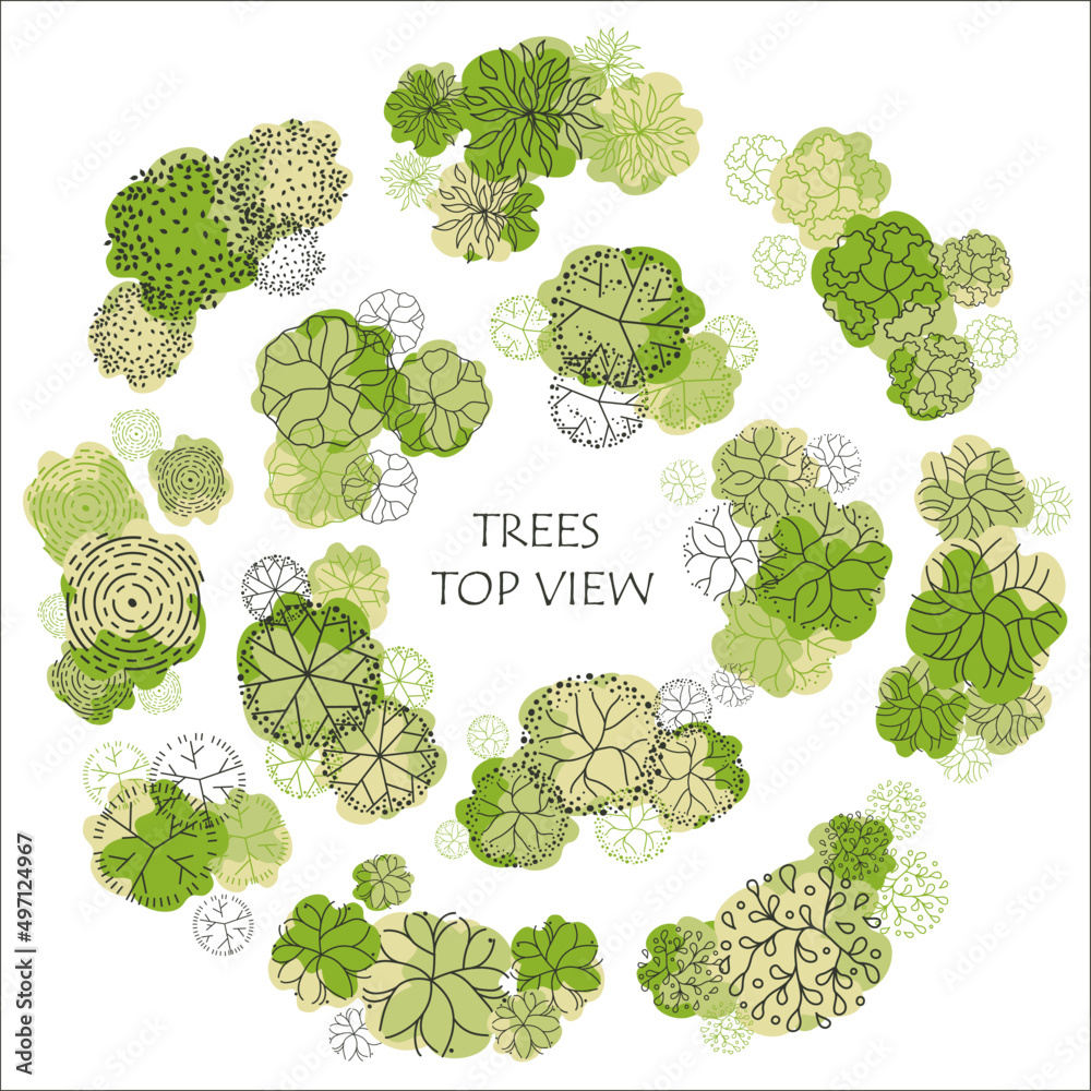 Trees for the master plan. Tree plans for architectural floor plans or ...