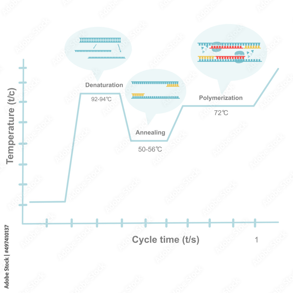 A graph represents the correlation between temperature and cycle time ...
