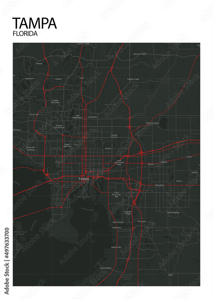 Ilustración de Stock Poster Tampa - Florida map. Road map. Illustration ...
