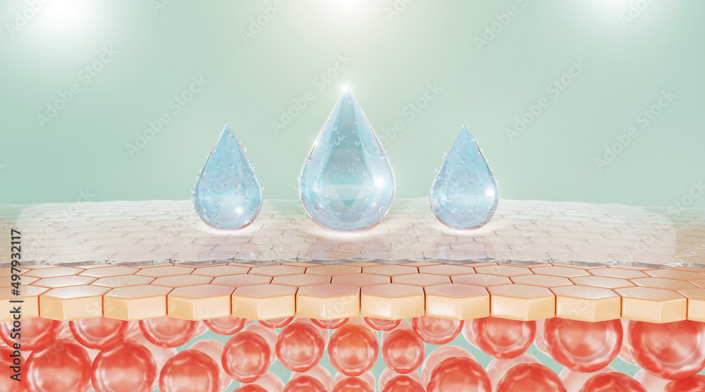 Water and vitamin drop on skin cell. serum through the skin layer and ...