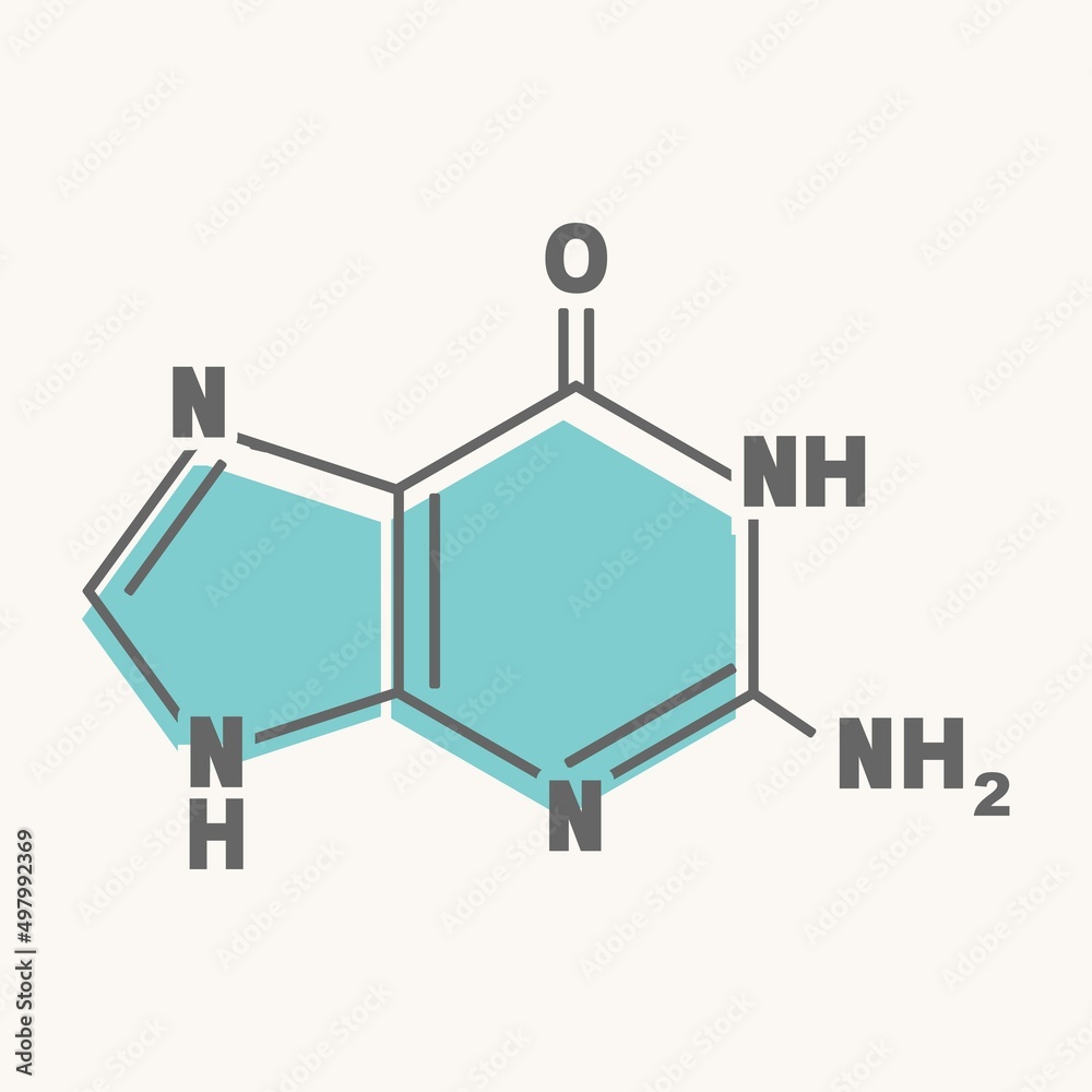 Chemical structural formula of guanine - DNA and RNA nitrogen base ...