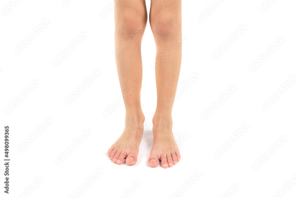 legs on a white background, front view. Stock Photo | Adobe Stock