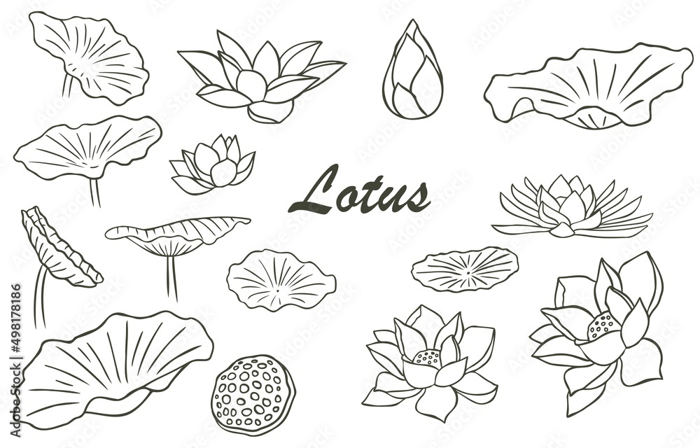 Black lotus flower outline.Vector illustration for icon,sticker ...