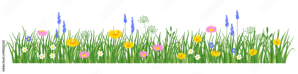 Flowers and grass border, yellow and white chamomile and delicate pink ...