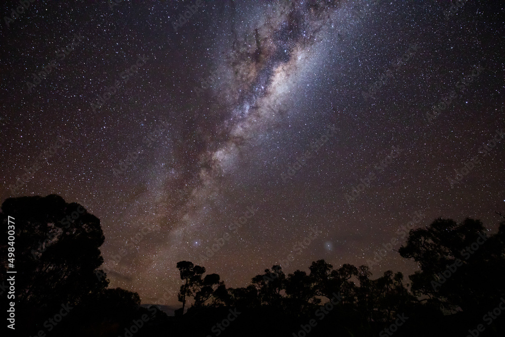 Milky Way over tree silhouettes Stock Photo | Adobe Stock