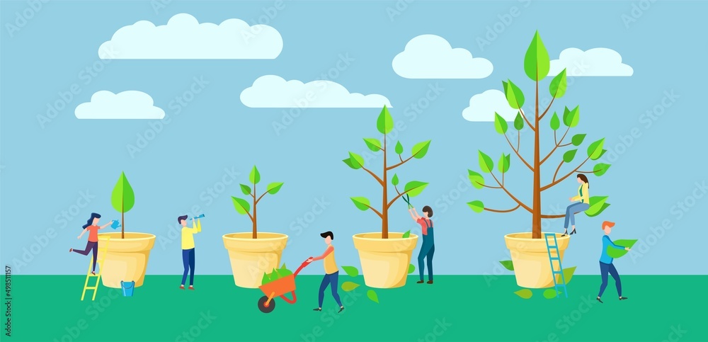 Life Cycle, Time line and growth metaphor, grow stages of Tree from ...