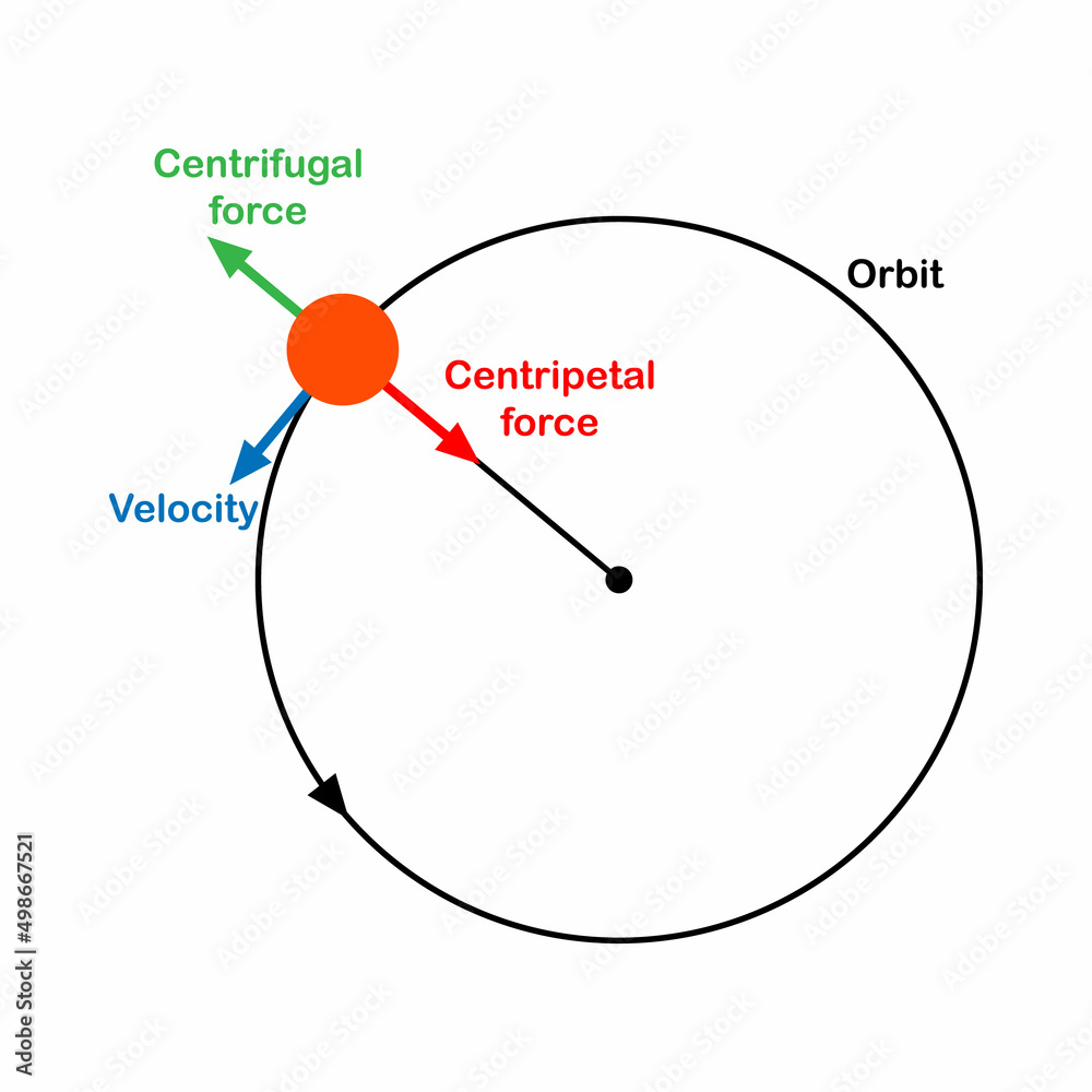 centripetal and centrifugal force diagram Stock Vector | Adobe Stock