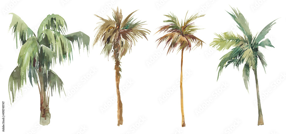 Watercolor palm tree set. Hand painted exotic green branches and palms ...