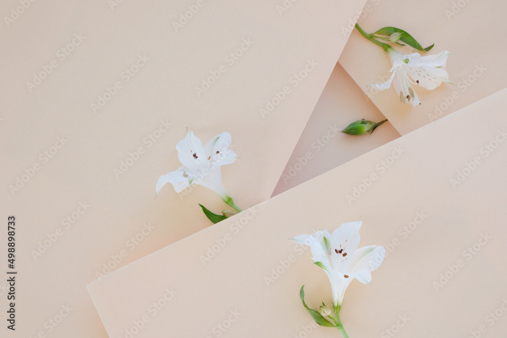 Multi-level beige background with flowers. Multiple levels of paper ...