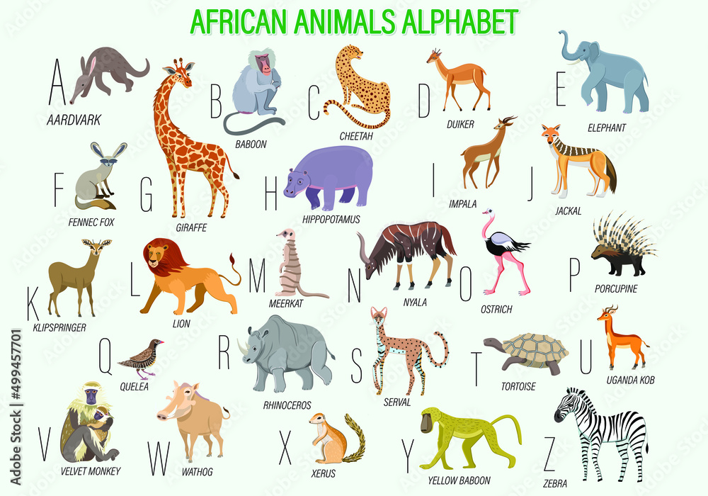 African Animals In Alphabetical Order