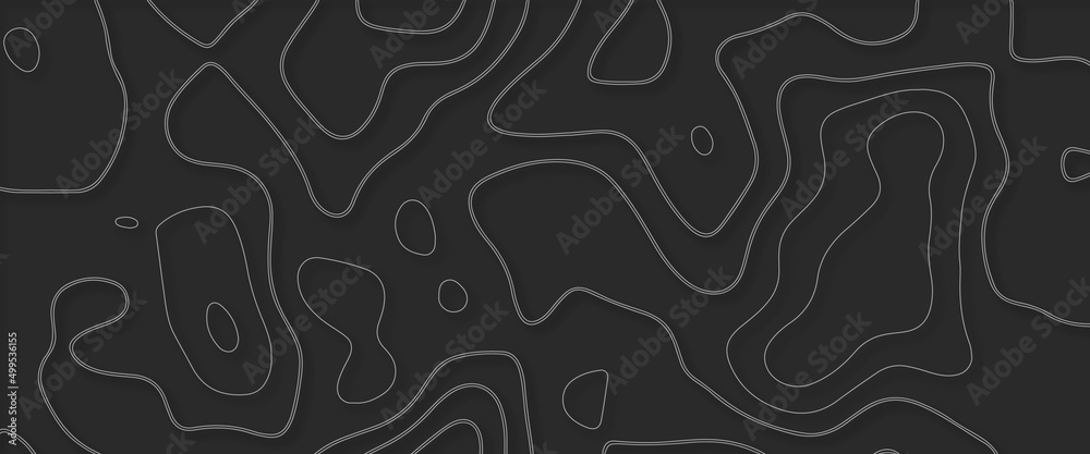 Topography map background. Vector geographic contour map. White wave ...