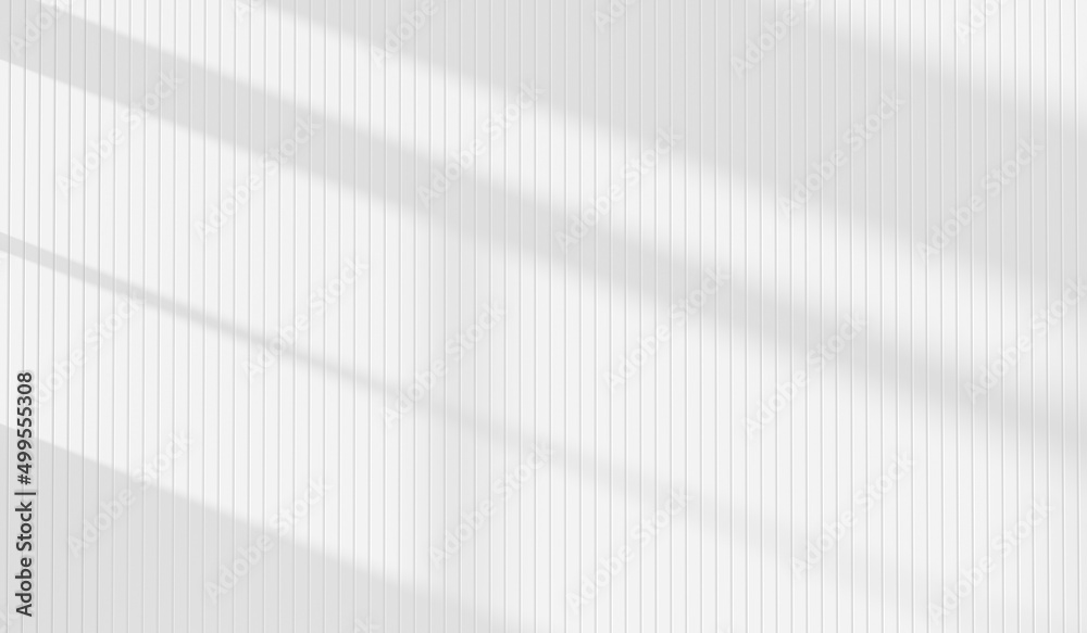 Abstract window sunlight on empty white wall 3d morning interior ...
