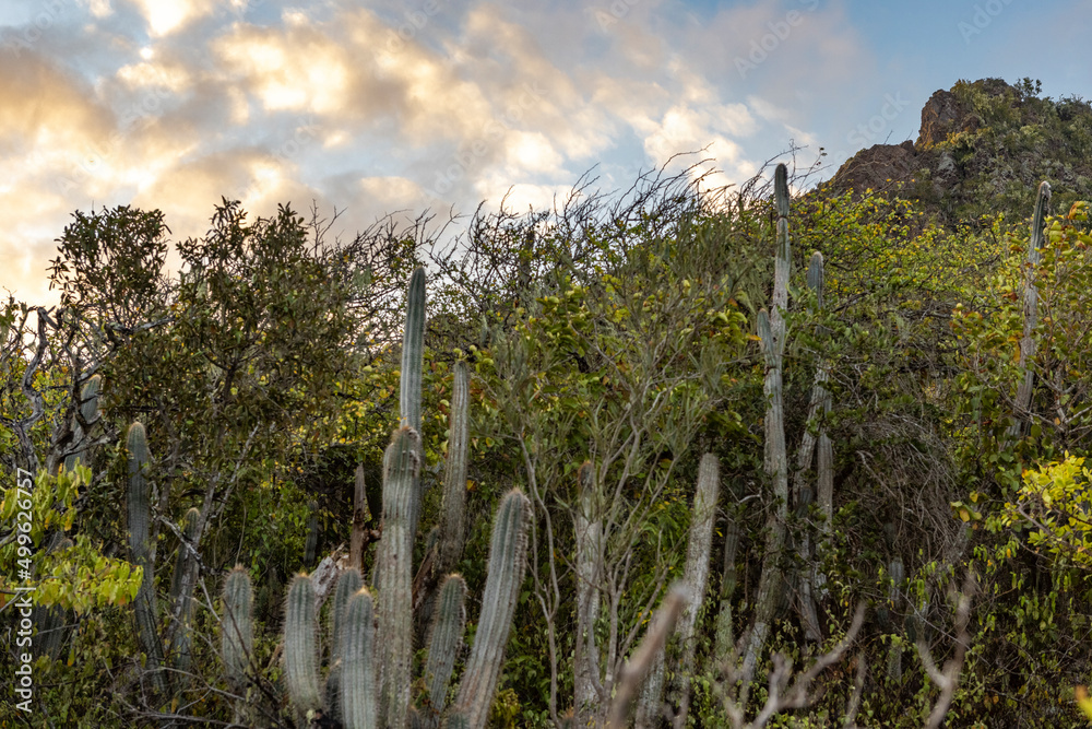 Fotografie Sunrise over Christoffel National Park during the hike up to ...