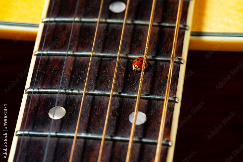 Foto de Stock Spotted red ladybug sits on fretboard with the strings of ...