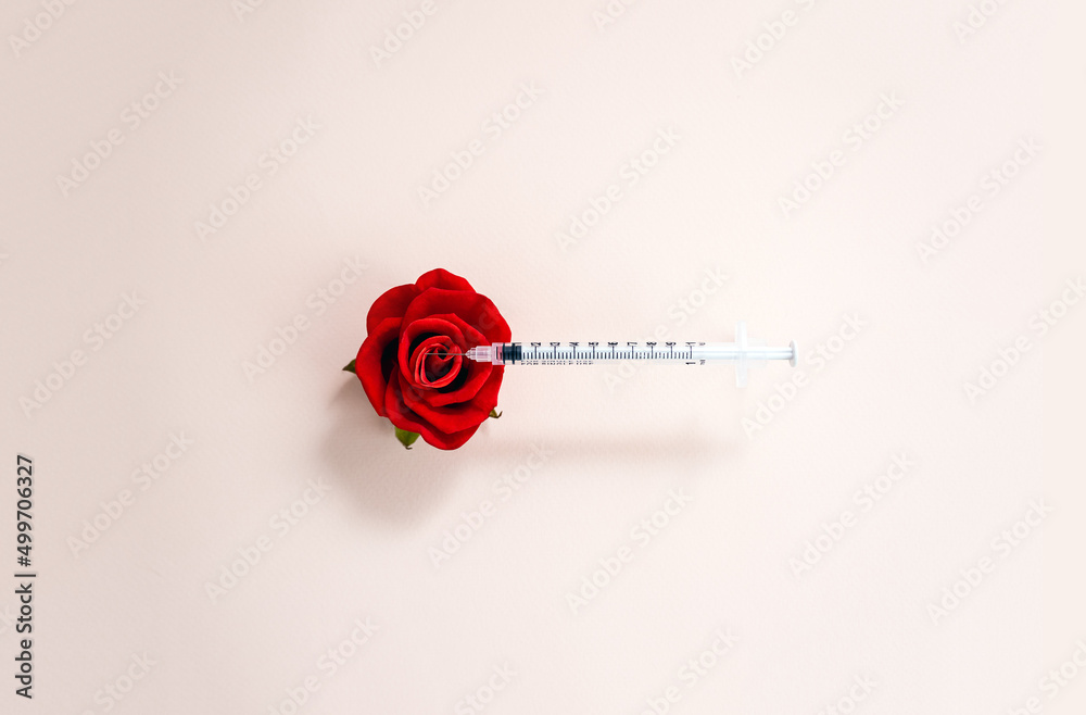Fading rose and medical syringe. Minimal concept of beauty injections ...