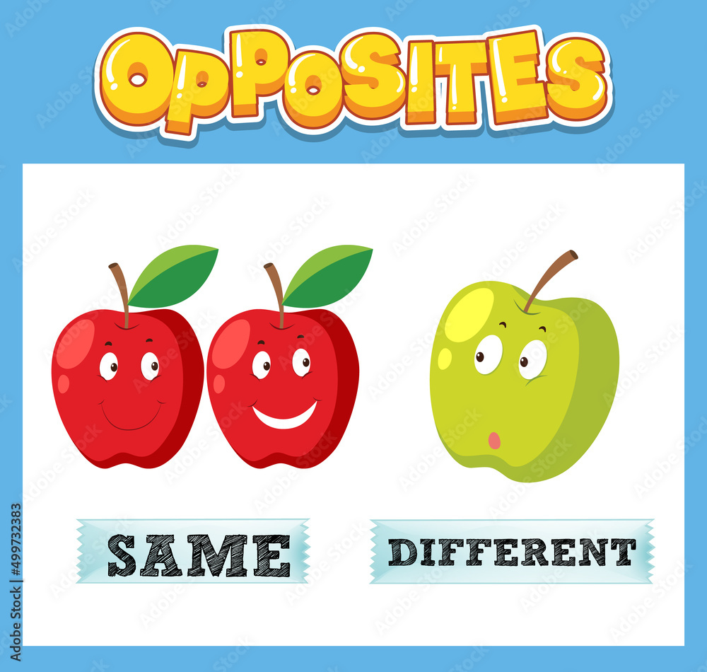 Opposite English words with same and different Stock Vector | Adobe Stock