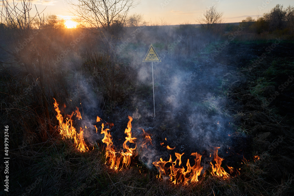 Burning dry grass and poison toxic sign. Yellow triangle with skull and ...