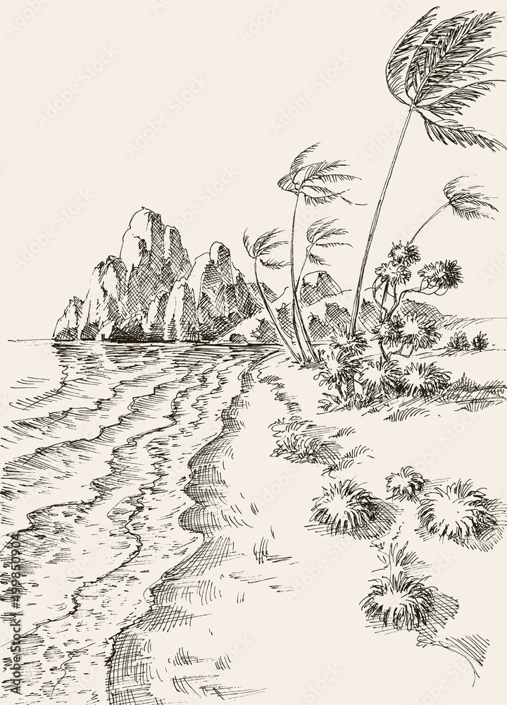 Windy day at the beach hand drawing. Wind in the palm trees landscape ...