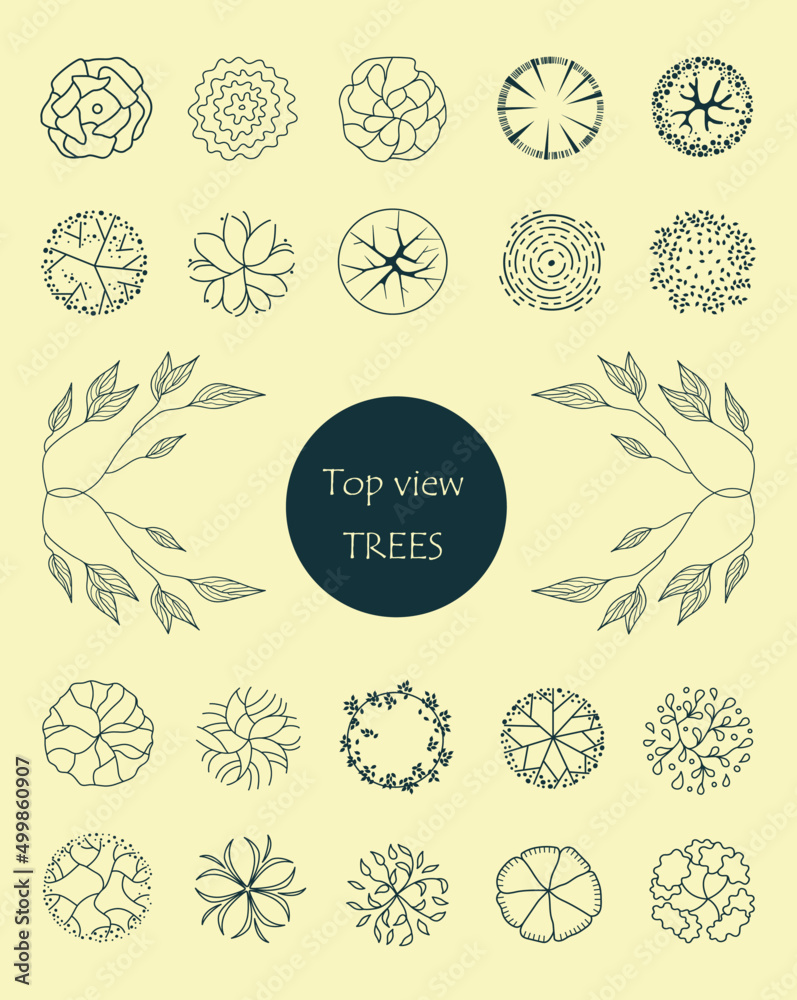 Trees for the master plan. Tree for architectural floor plans ...