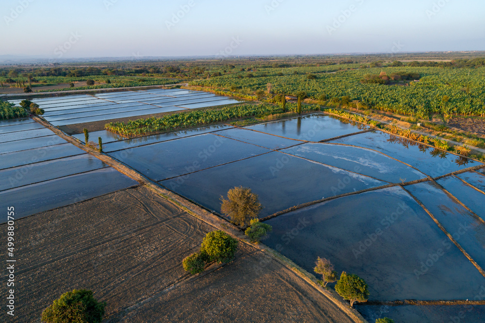 Piura, Peru: Aerial view of rice fields in the Chira river valley, very ...