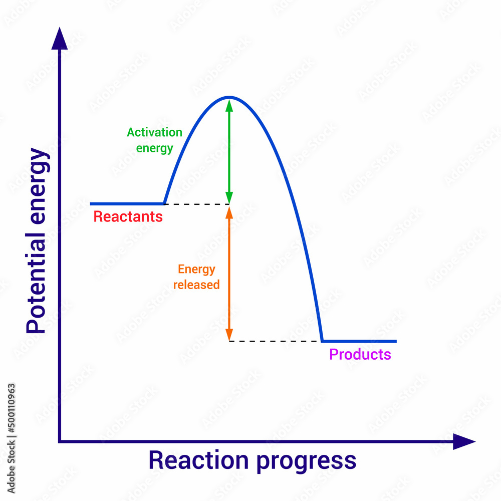 exothermic reaction graph in chemistry Stock Vector | Adobe Stock