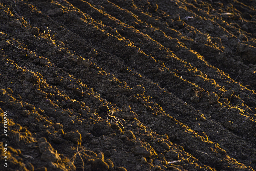 Photo Stock Clean soil for cultivation. Dry texture top view. Loose ...