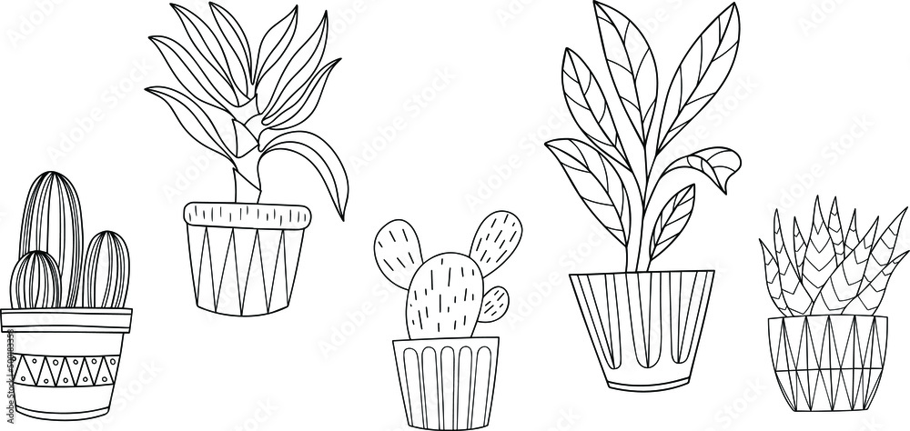 Hand drawn doodle. Houseplants collection. Vector interior plants in ...