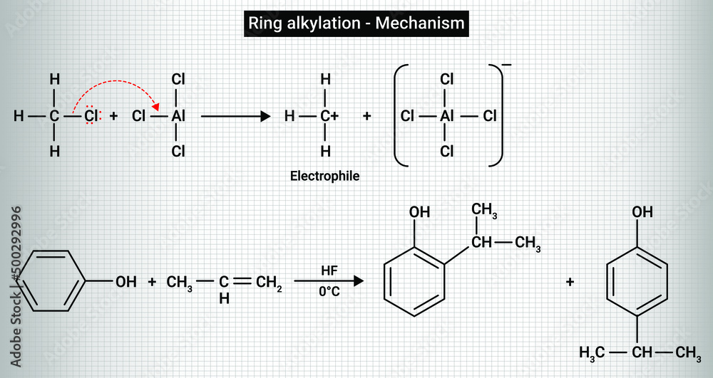 Ring alkylation: Phenol activates the benzene nucleus towards ...