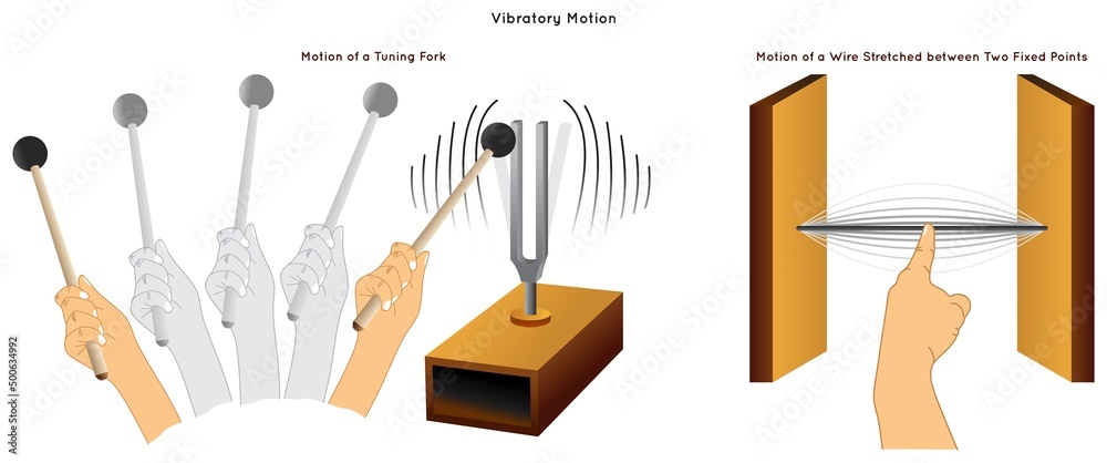 Vibratory Motion Infographic Diagram with example of tines of tuning ...