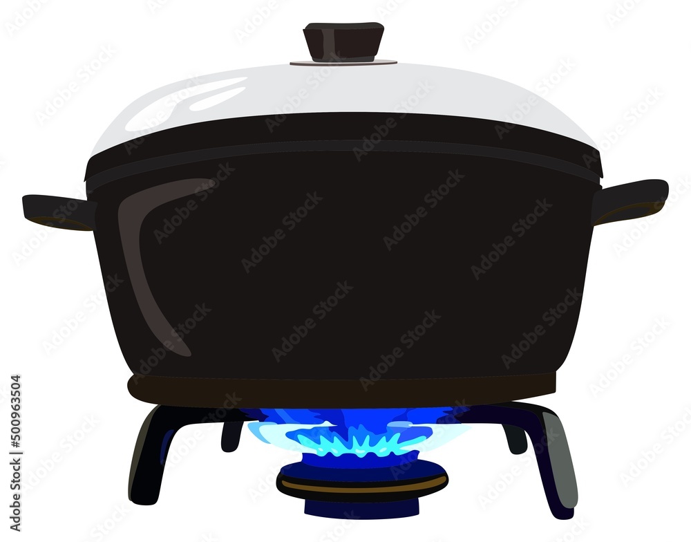 a pot on stove fire cooking food concept natural gas blue propene ...