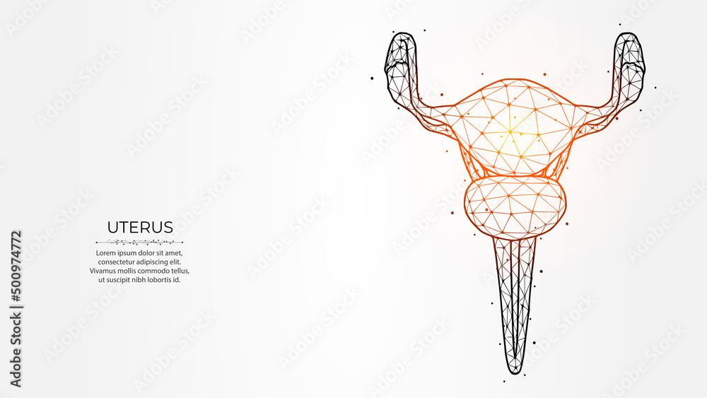 Abstract polygonal uterus vector illustration on a light background ...