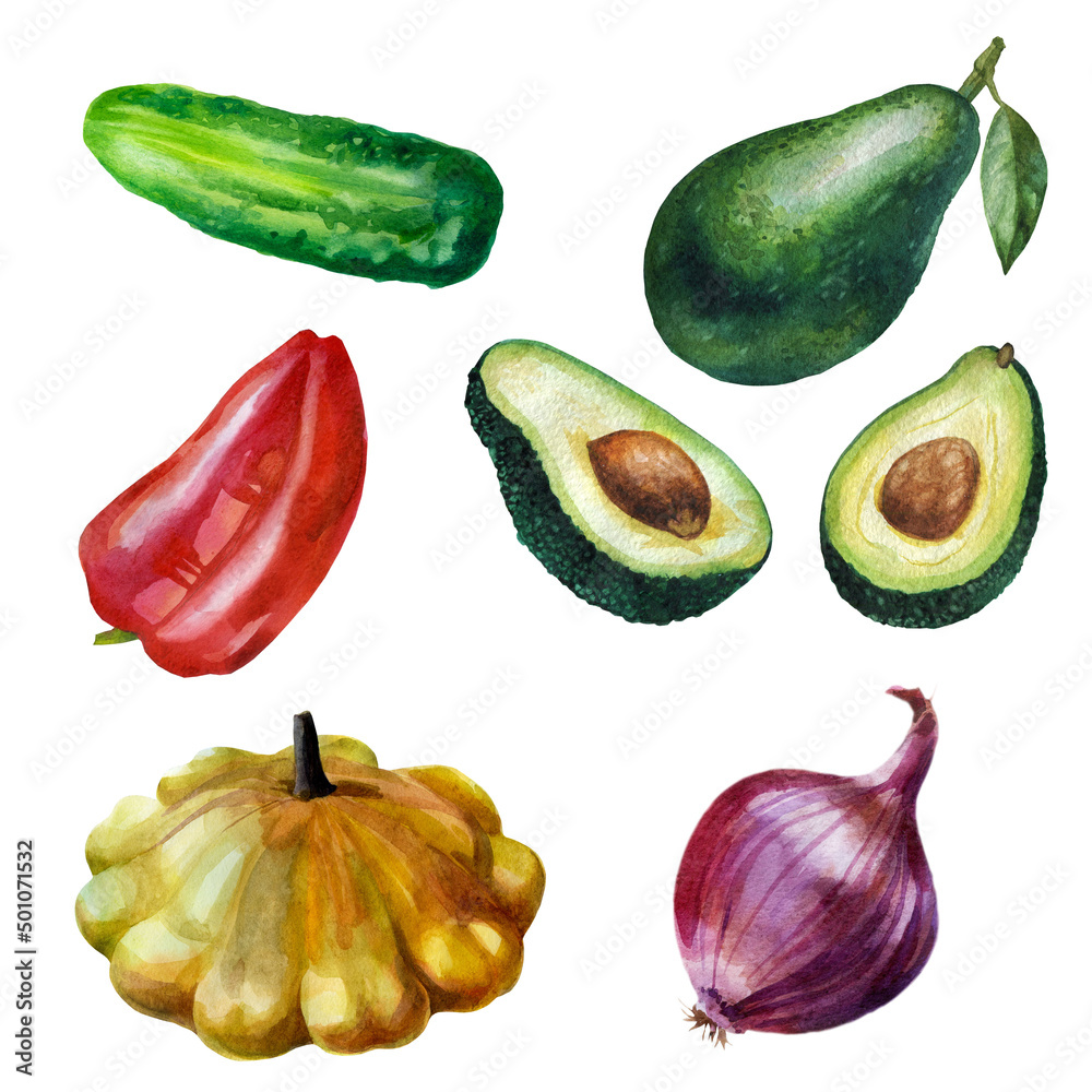 Watercolor illustration, set. Avocado, cucumber, pepper, patisson ...