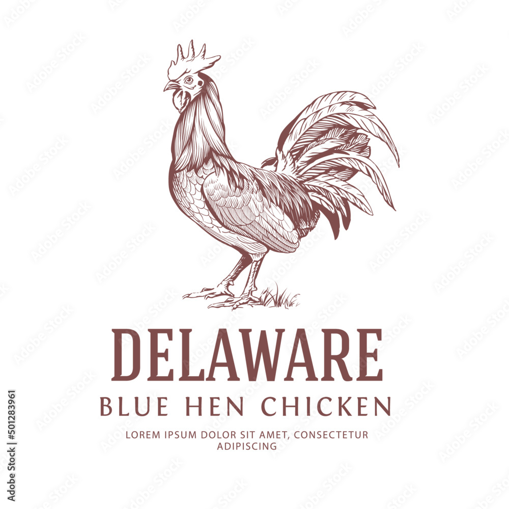 Vintage Rooster Logo. Blue Hen Chicken. Delaware State Bird Symbol ...