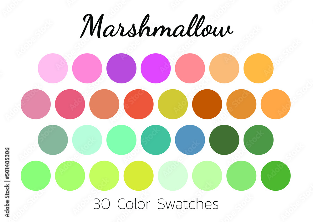 Collection Color palette, swatch color palette, Flat vector ...