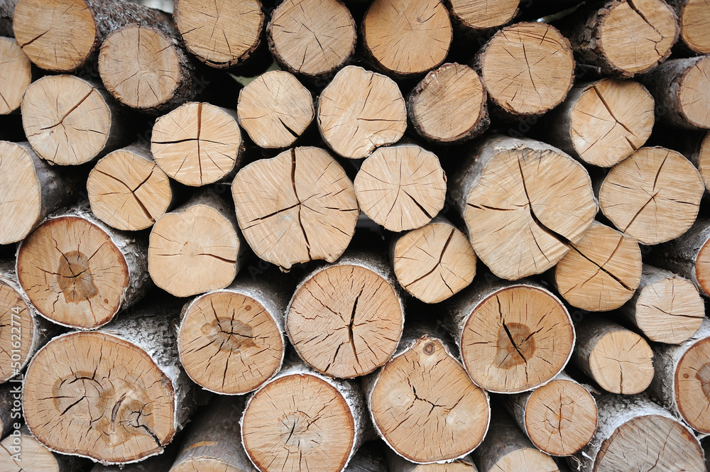 Woodpile fresh cut pine logs at sawmill factory. Big stack of tree ...